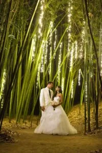 Events & Groups – Goldendoor