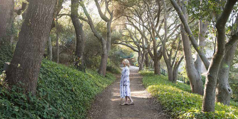 Featured Experiences – Goldendoor